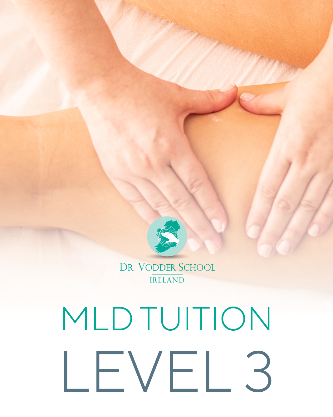 Level 3 Course Autumn 2026 – Dr Vodder School - Ireland